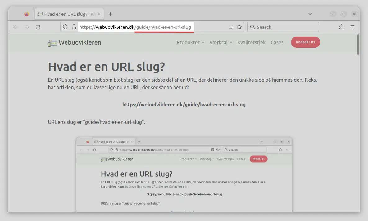 Hvad er en URL slug? | Webudvikleren